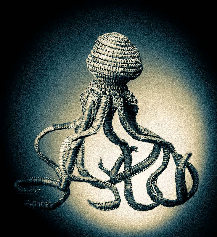 Joint winner – 8 ways to look at an octopus – Peter Frankis writes